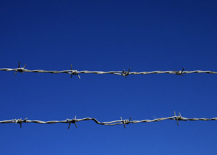 Galvanized High Tensile Razor Barbed Wire , Barbed Wire Security Fence